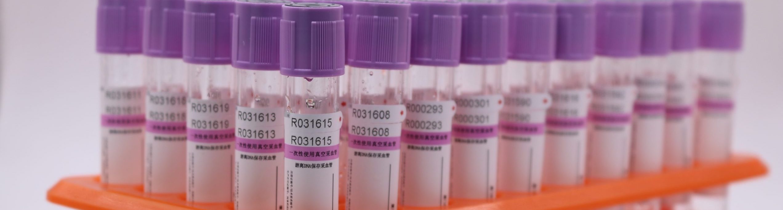 cfDNA/cfRNA Preservation Tubes, Genetic Test Consumable | VanGenes ...